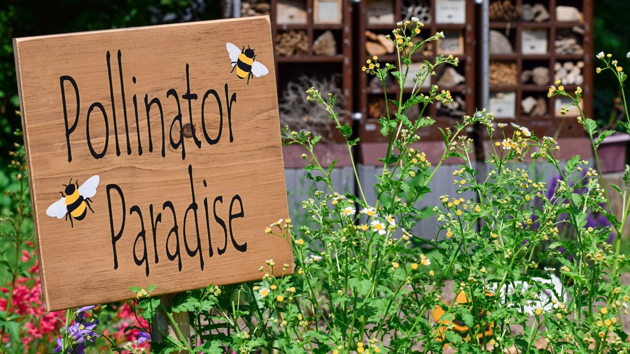Plant A Pollinator Garden And Do Your Part For The Earth | Gardening ...
