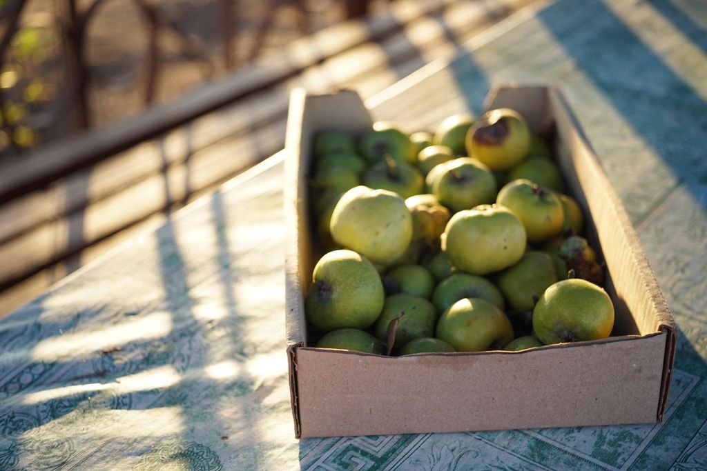 Curious Questions: Who opened the first ever department store ...