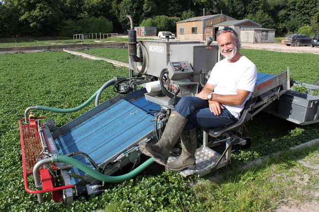 Marcus Wareing’s Tales From A Kitchen Garden season 2 guide | What to Watch
