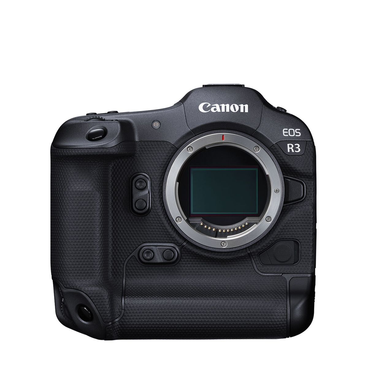 The best Canon camera in 2025 | Digital Camera World