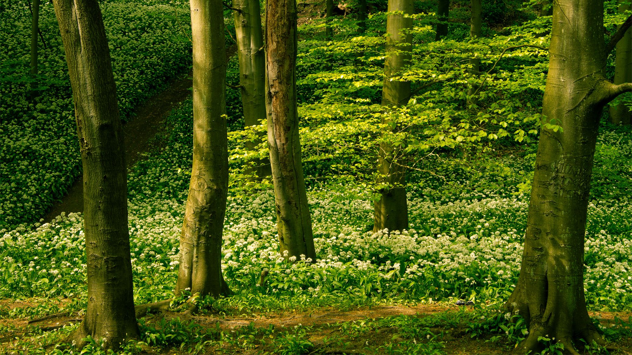 Incredible landscape composition tips: shoot natural patterns | Digital ...