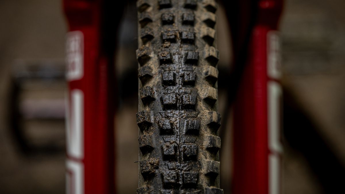 Michelin Wild Enduro MH tire review | Bike Perfect