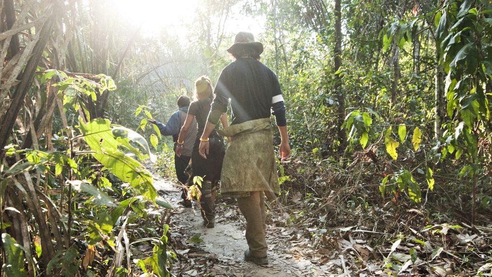 10 types of terrain you might encounter on your hikes | Advnture