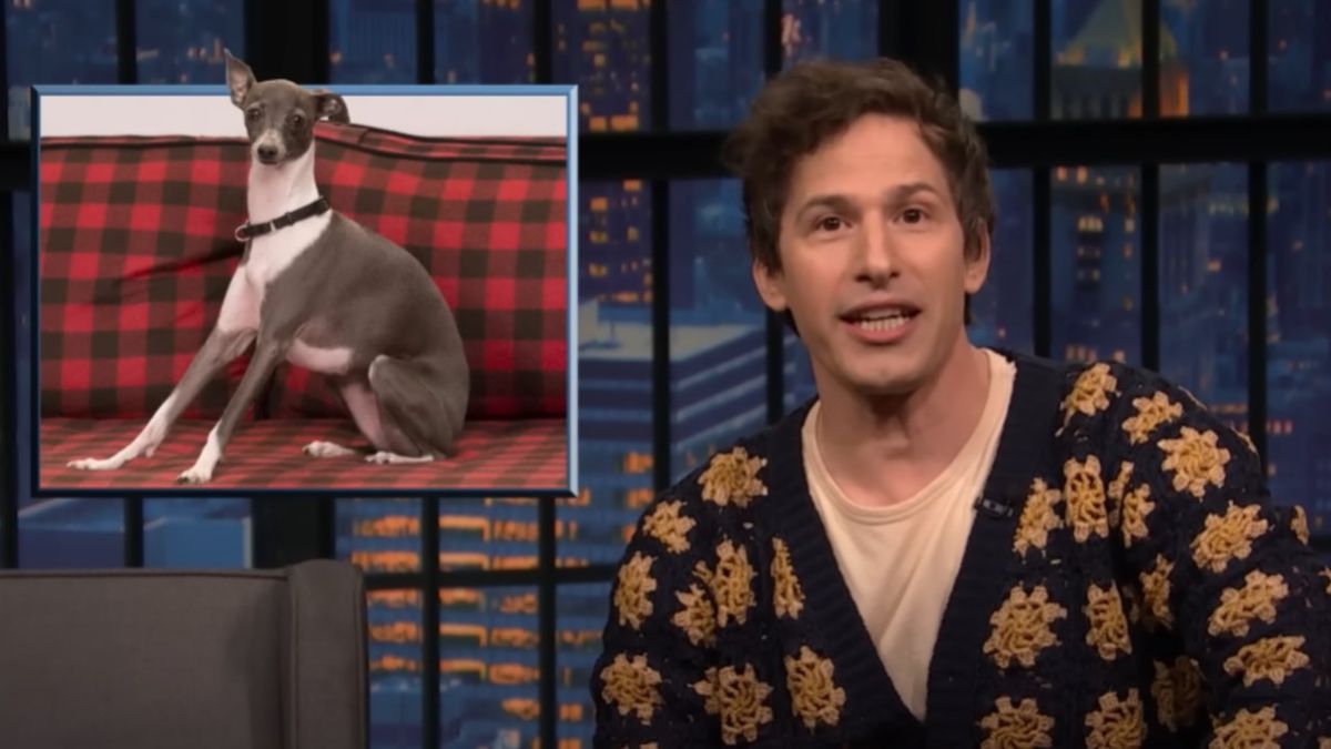 Seth Meyers' Dog Frisbee Died. While Kenan Thompson, Rachel Dratch And ...