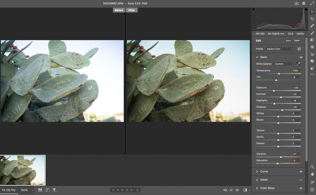 Adobe Camera Raw: what it does and why you need to use it | Digital ...