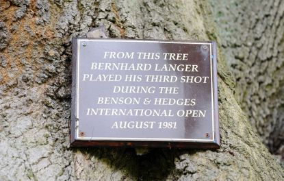 What Should You Do If Your Ball Gets Stuck Up A Tree? Here's What The ...