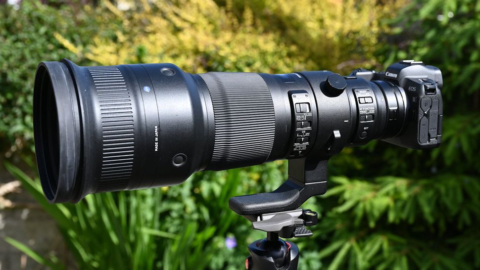 Sigma 500mm F4 DG OS HSM Sports review | Digital Camera World