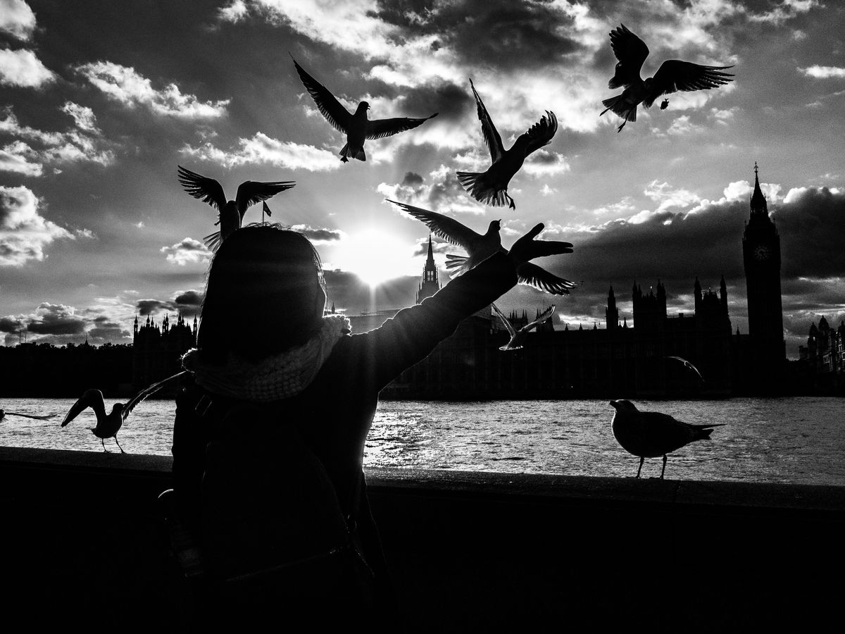 Stunning photographs of the River Thames captured for the Thames Lens ...