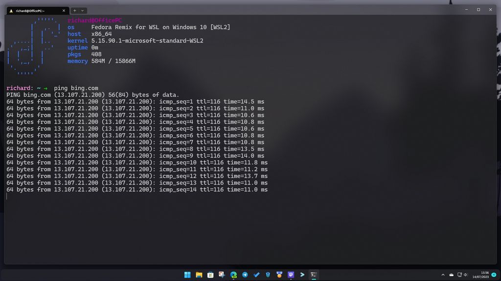 How to fix Internet connectivity issues in WSL | Windows Central