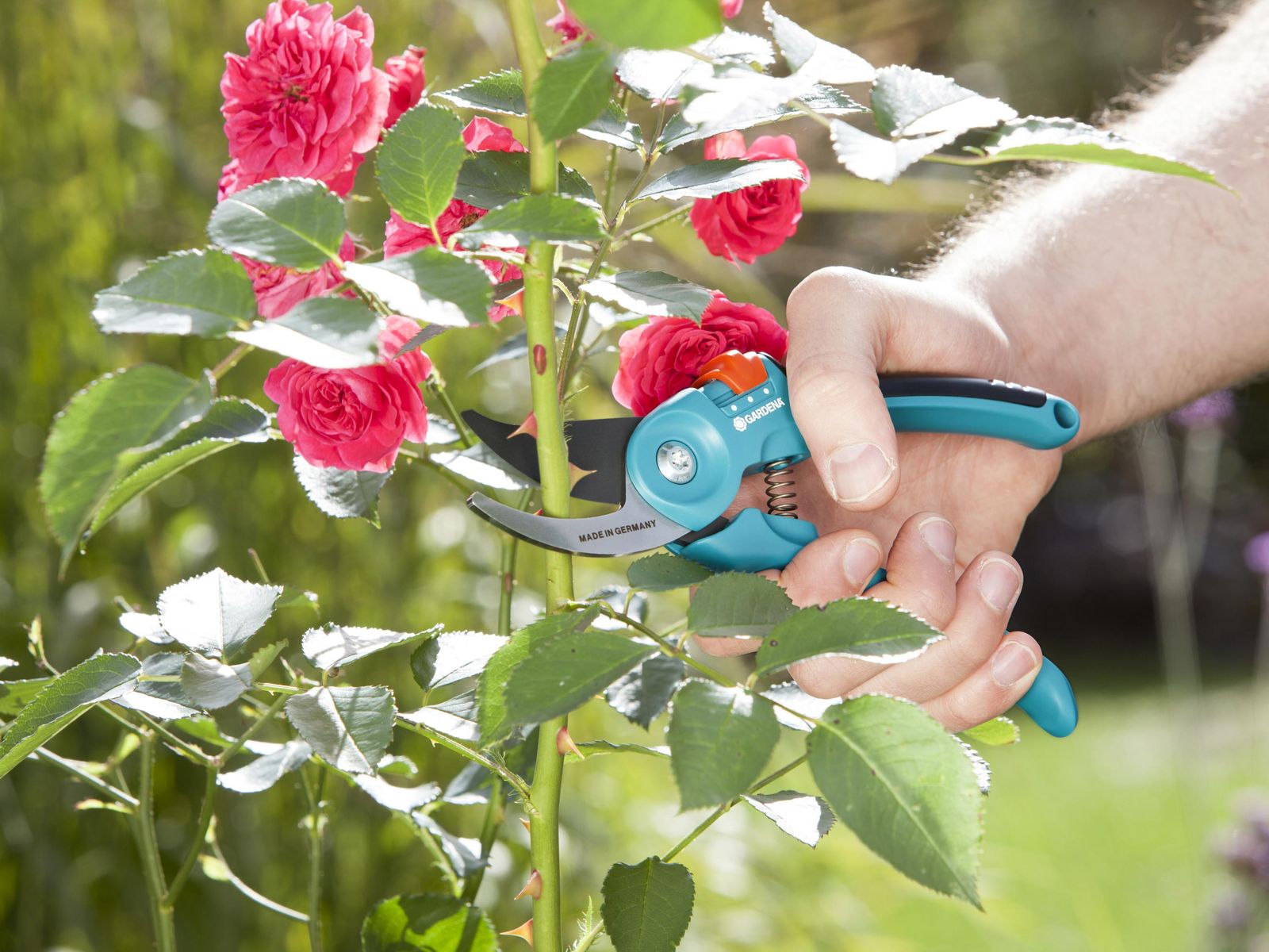 7 best secateurs: top buys to help you keep your garden tidy | Gardeningetc