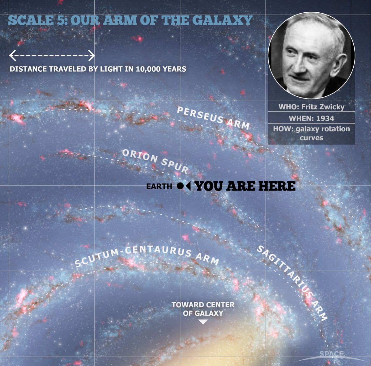 The History & Structure of the Universe (Infographic) | Space