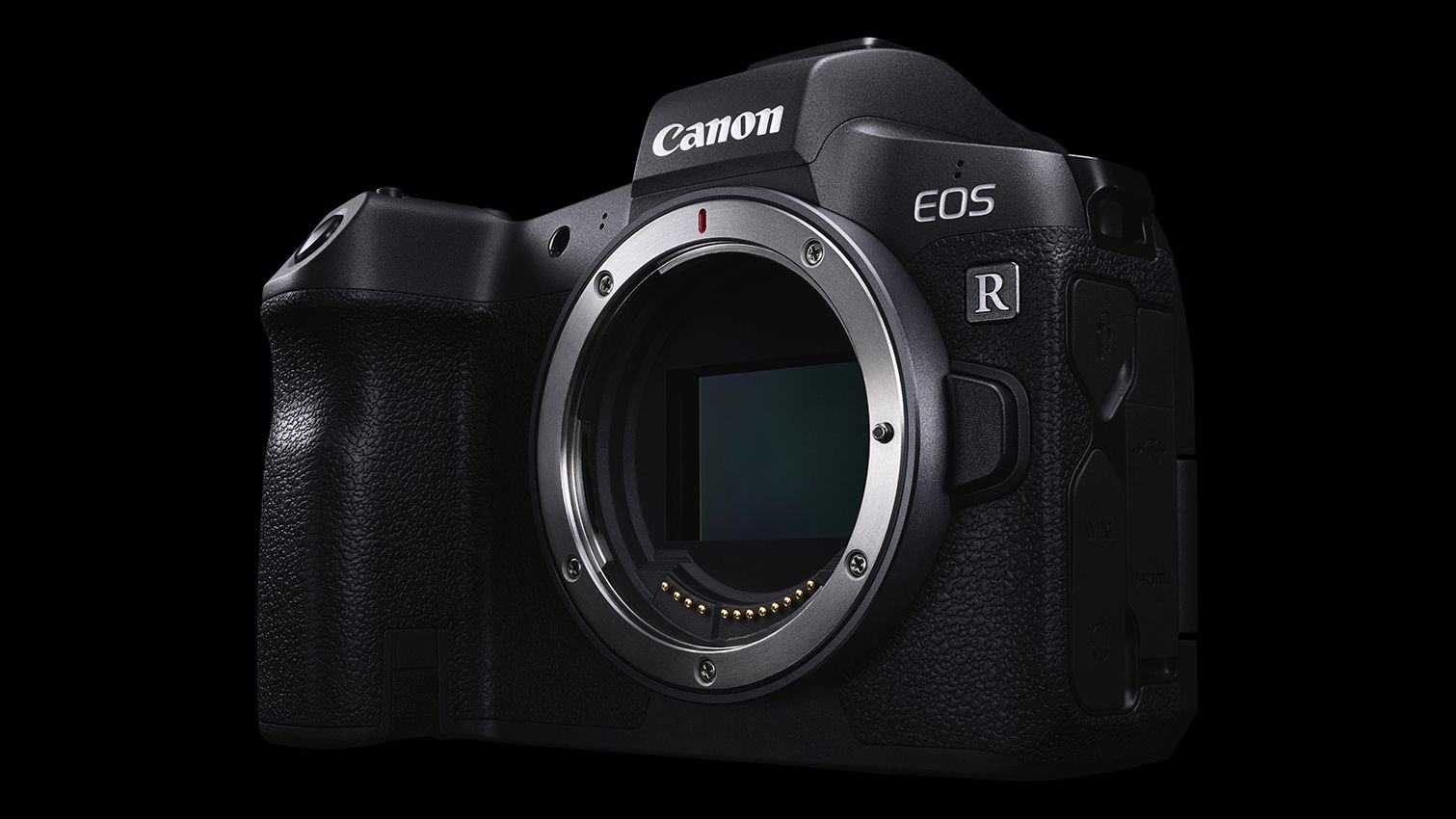 Canon EOS R vs EOS RP: 10 key differences you need to know | TechRadar