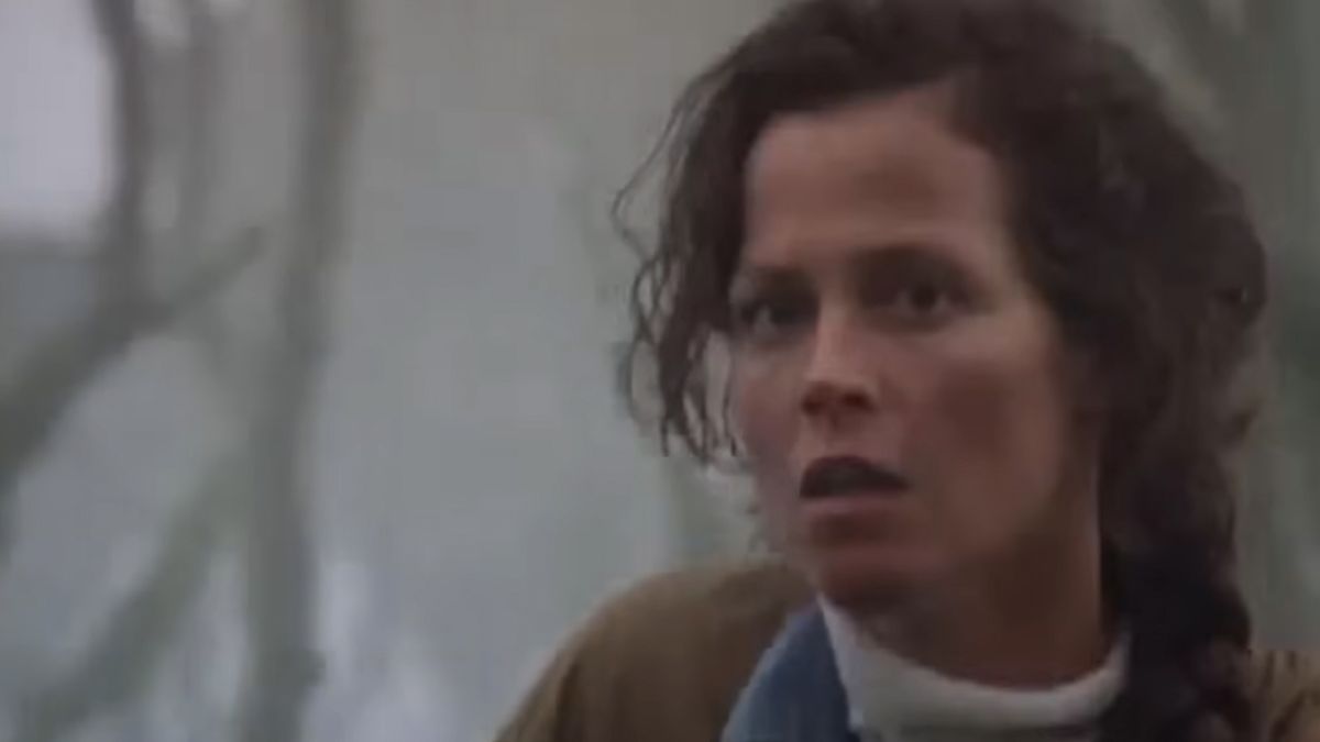 32 Amazing Movies Set In Africa | Cinemablend