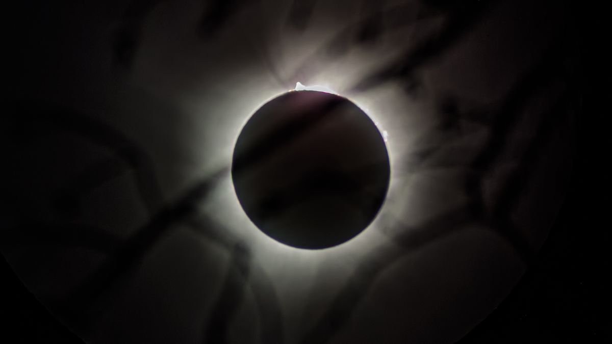 The real total eclipse was better than the pics I shot with my iPhone ...