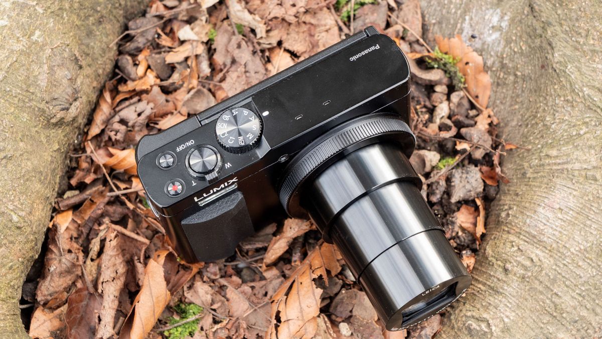 Panasonic Lumix ZS99 / TZ99 review: a 30x zoom pocket camera for your ...