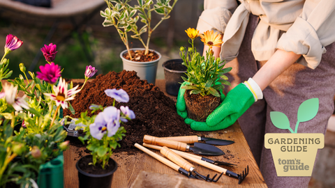 This expert hack easily removes rust from your garden tools — and it ...