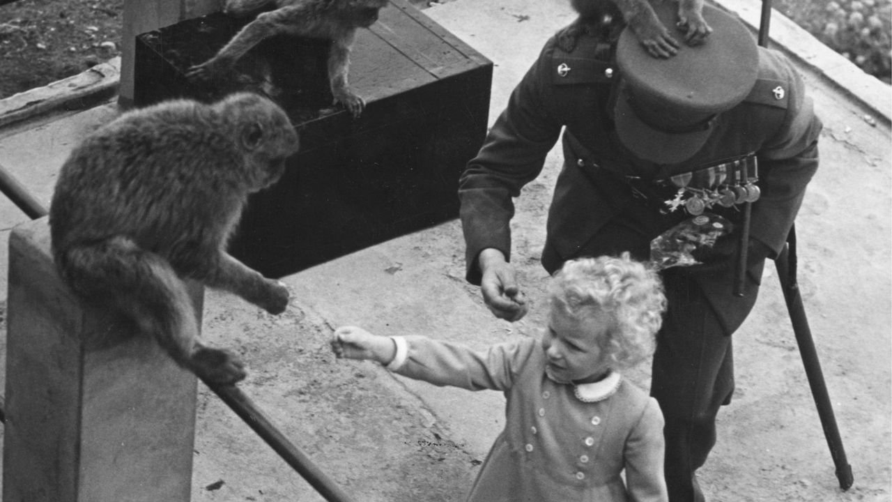 Vintage photo shows a young Princess Anne feeding monkeys | Woman & Home