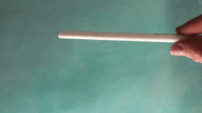 Articles by: Isobel Whitcomb | Live Science