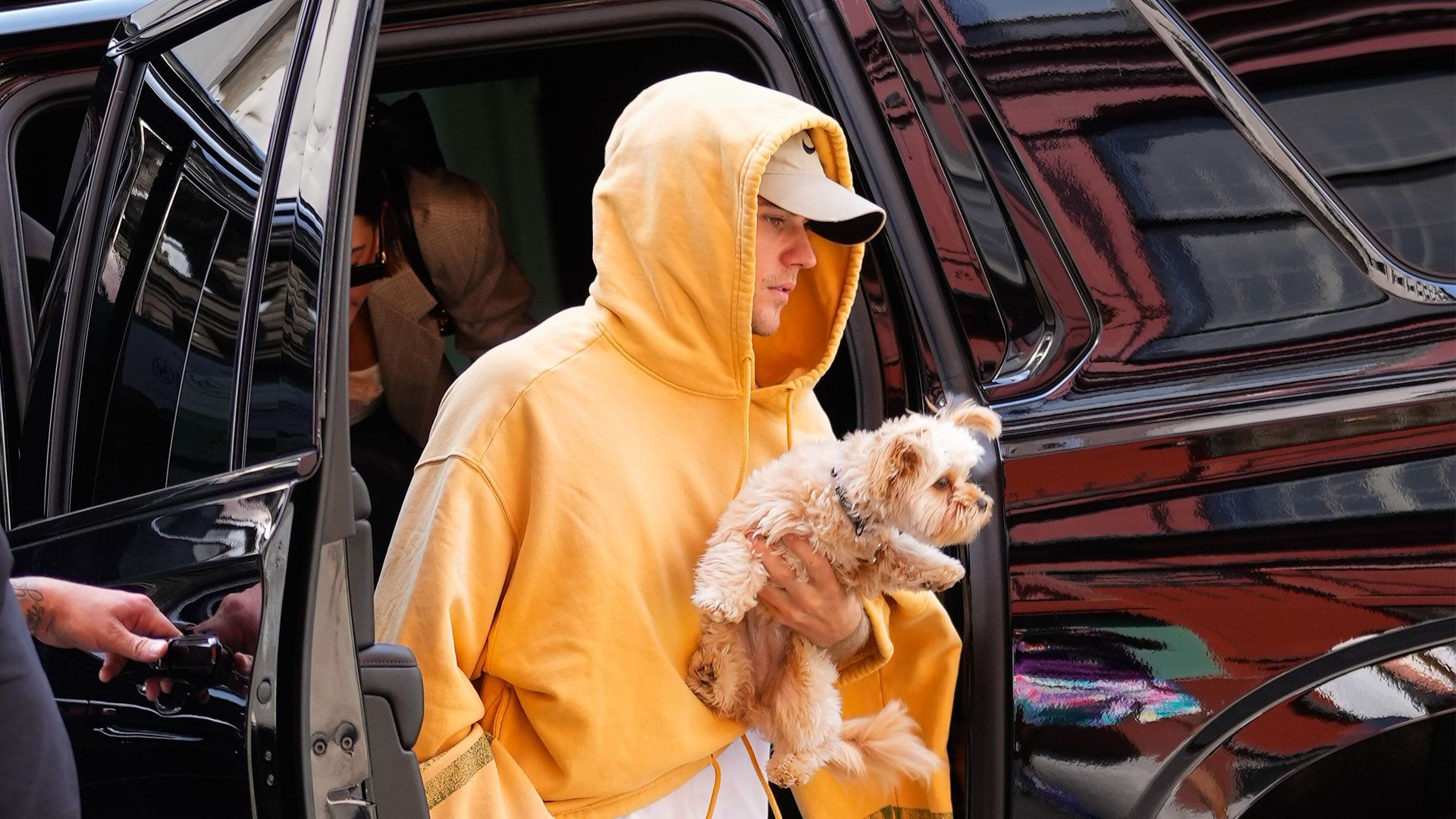 32 adorable pics of celebrities and their pets | PetsRadar