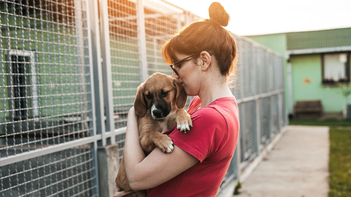 32 reasons to adopt a dog | PetsRadar