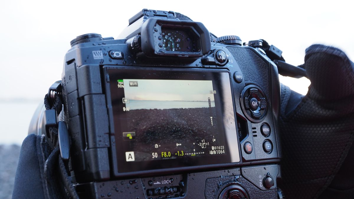 Build, handling and autofocus - Olympus OM-D E-M1 Mark II review - Page ...