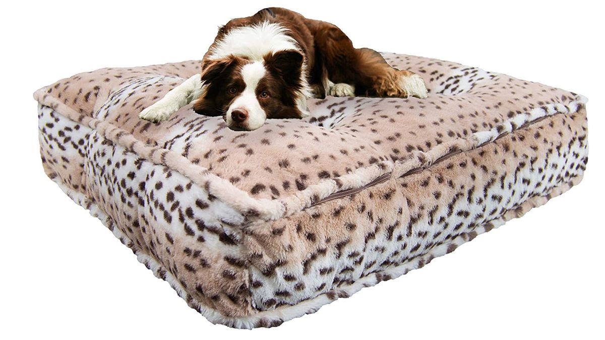 Best luxury dog beds: Cozy cribs for every age and stage | PetsRadar