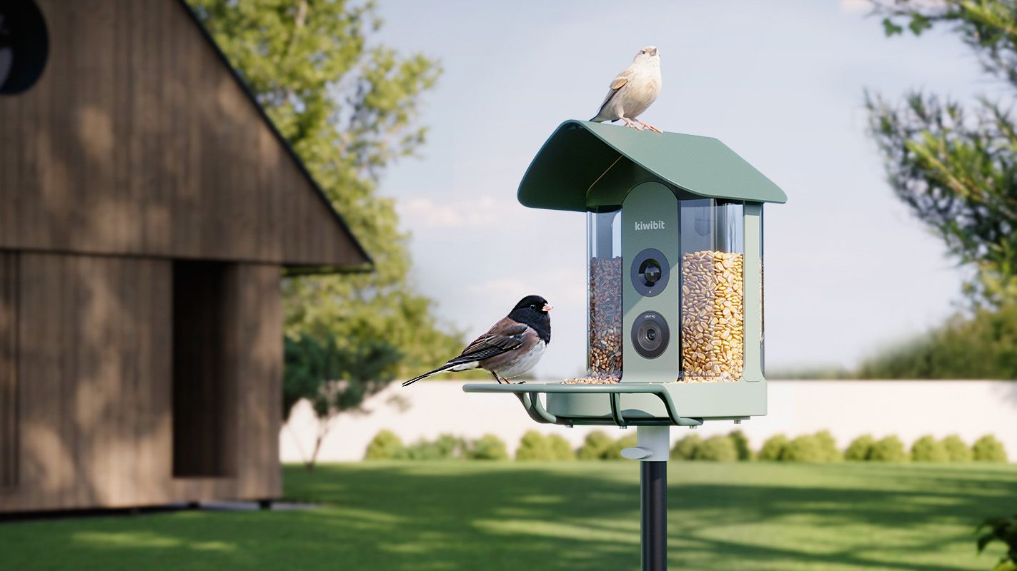 Finally, a bird feeder camera with 4K video, plus it has some handy ...