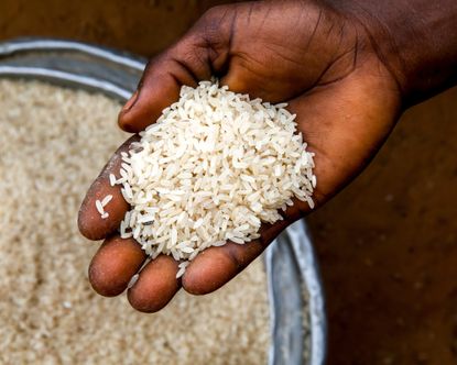 6 ways to clean with rice — from jewelry to coffee grinders | Real Homes