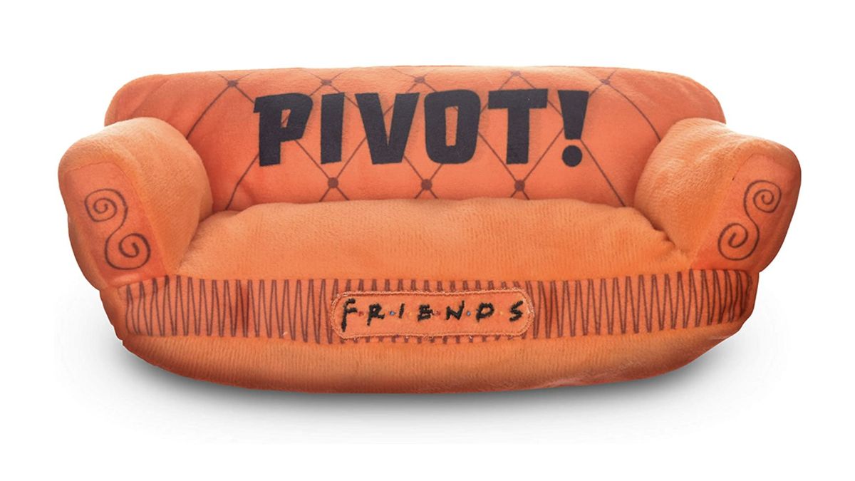 Gift Ideas For Friends Fans: 13 Great Friends Gifts For Fans Of The ...