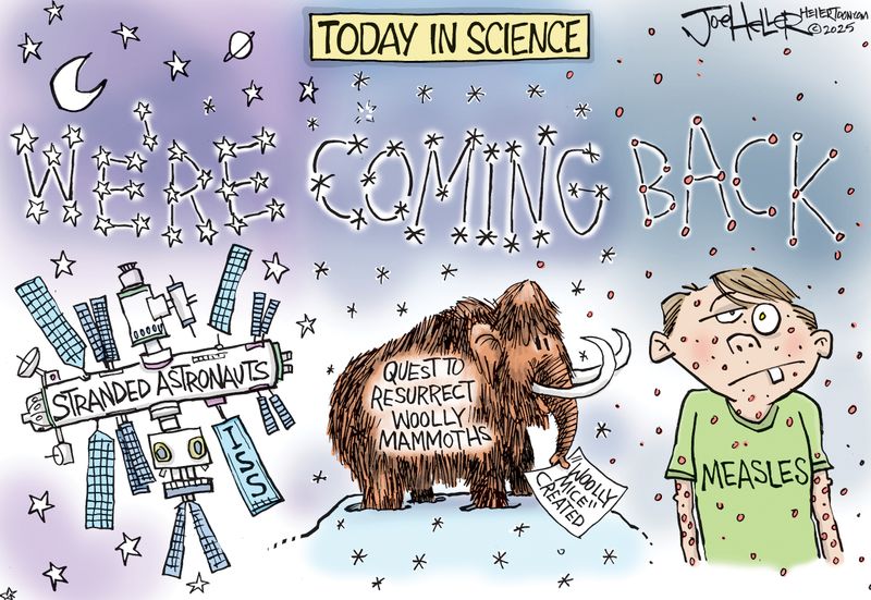 Editorial and Political Cartoons - Page 7 | The Week