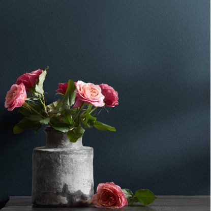 Emily Henderson just shared her favorite blue paint colors – these are ...