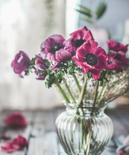 The most romantic spring flowers to give on Valentine's Day | Homes and ...