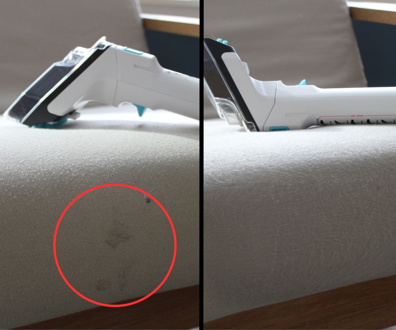 Shark CarpetXpert Carpet Cleaner: exceptional for pet mess | Homes and ...