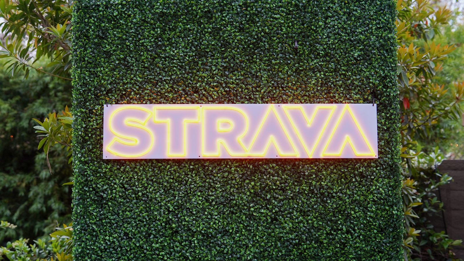 Strava just bought Runna and we got the inside story from both CEOs | T3