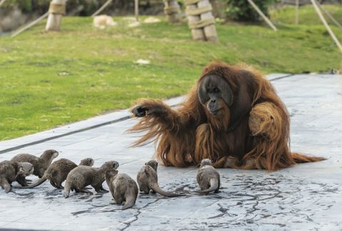 The 100 best science photos of 2020 | Live Science