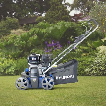 How to scarify a lawn: simple steps to give your grass a boost ...