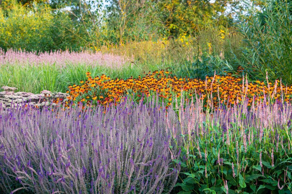 Landscaping with flowers – how to create a blooming garden | Livingetc