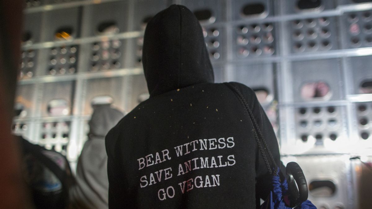 Vegan protests: are anti-meat activists going too far? | The Week