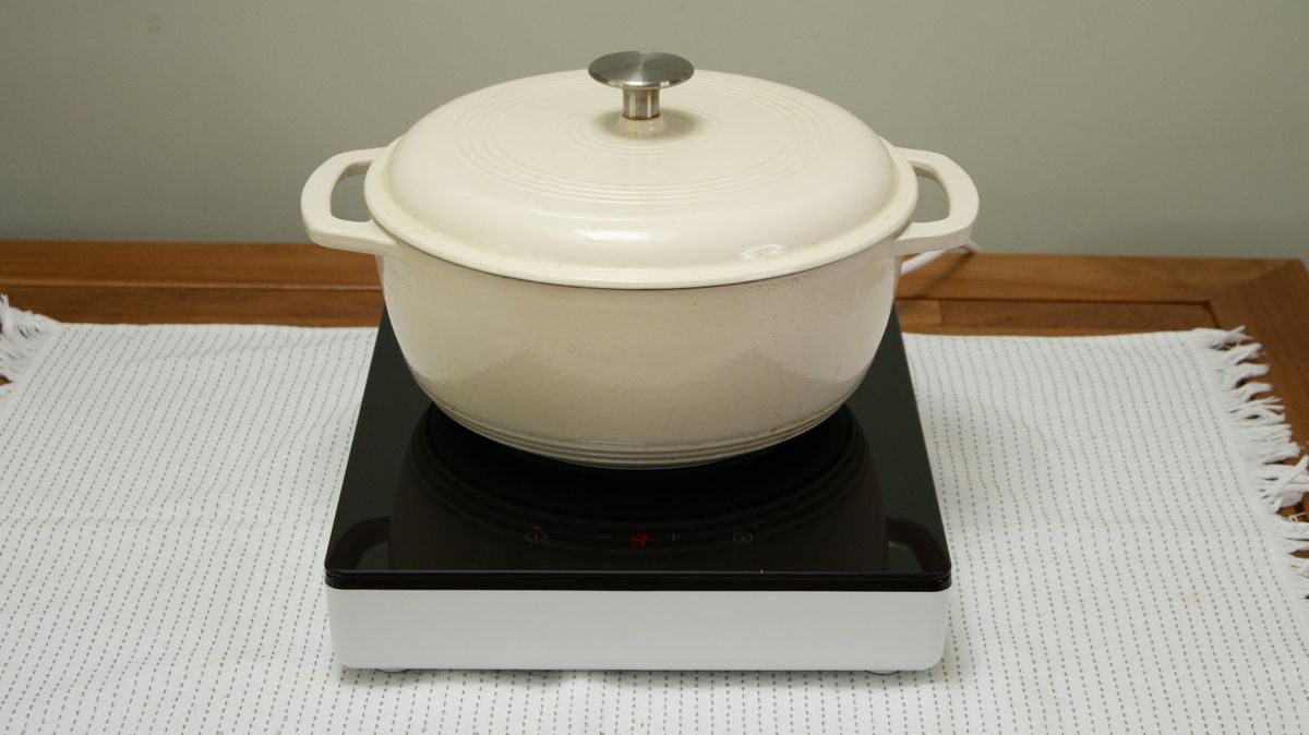 Ikea Tillreda portable induction cooktop review: Perfect for small ...