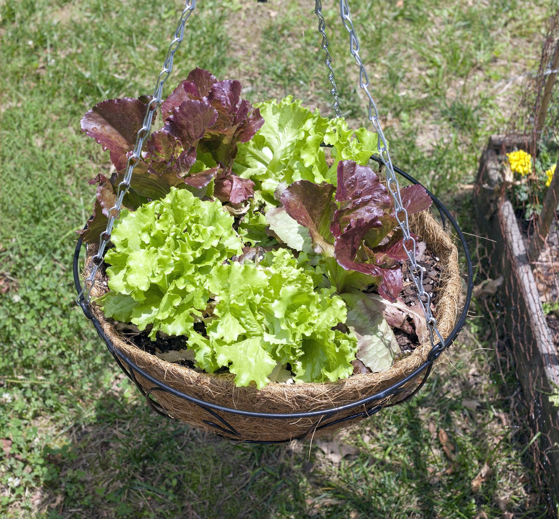 Small vegetable garden ideas: 15 ways to maximize your space | Homes ...