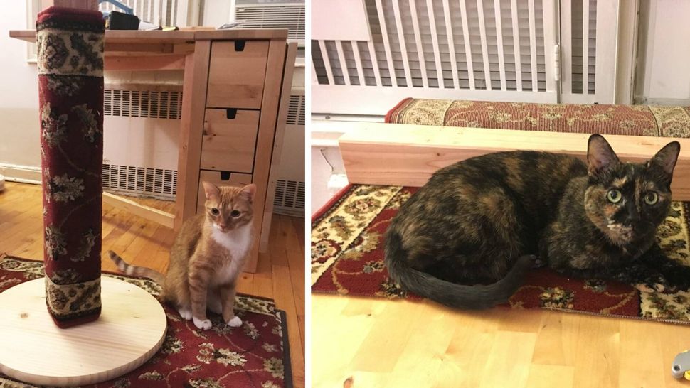 10 DIY cat scratching post ideas that are simply stylish | PetsRadar