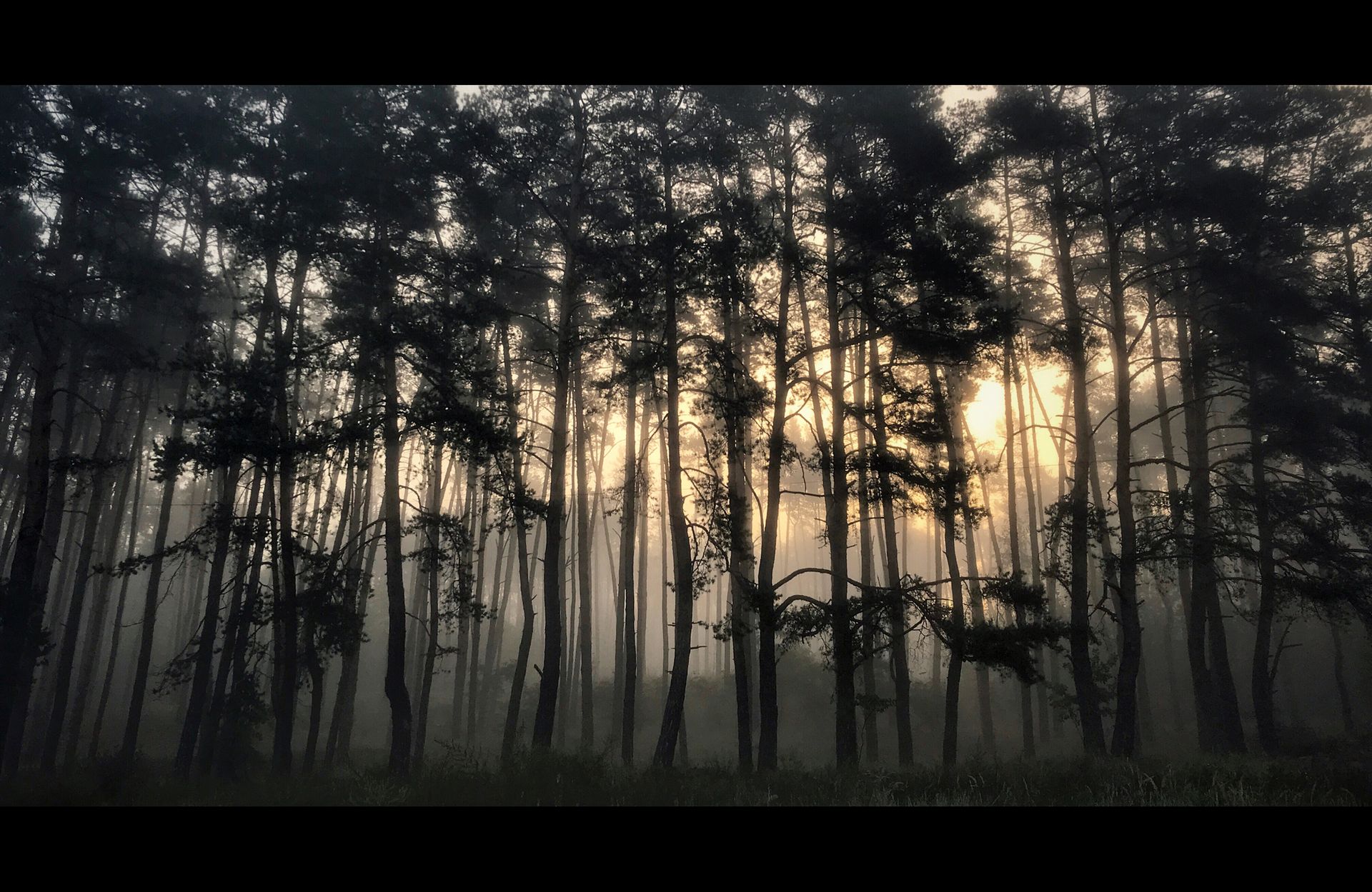 What does a ghost smell like? | The Week