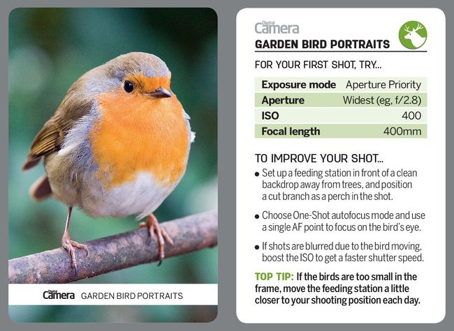 72 tips cards for photographers! Print, cut out and keep or save them ...