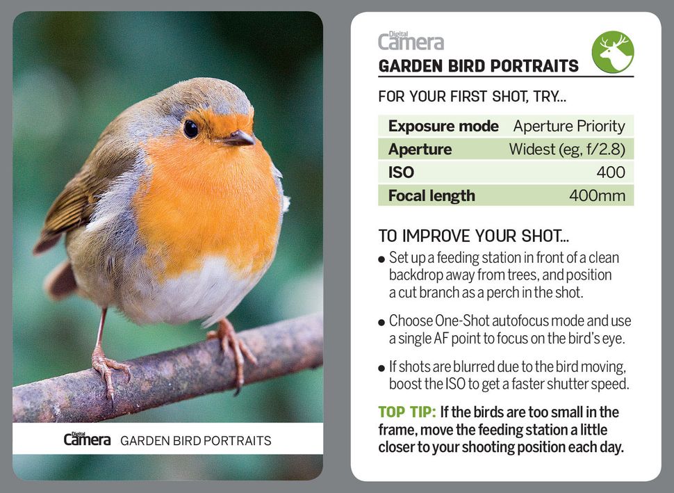 72 tips cards for photographers! Print, cut out and keep or save them ...