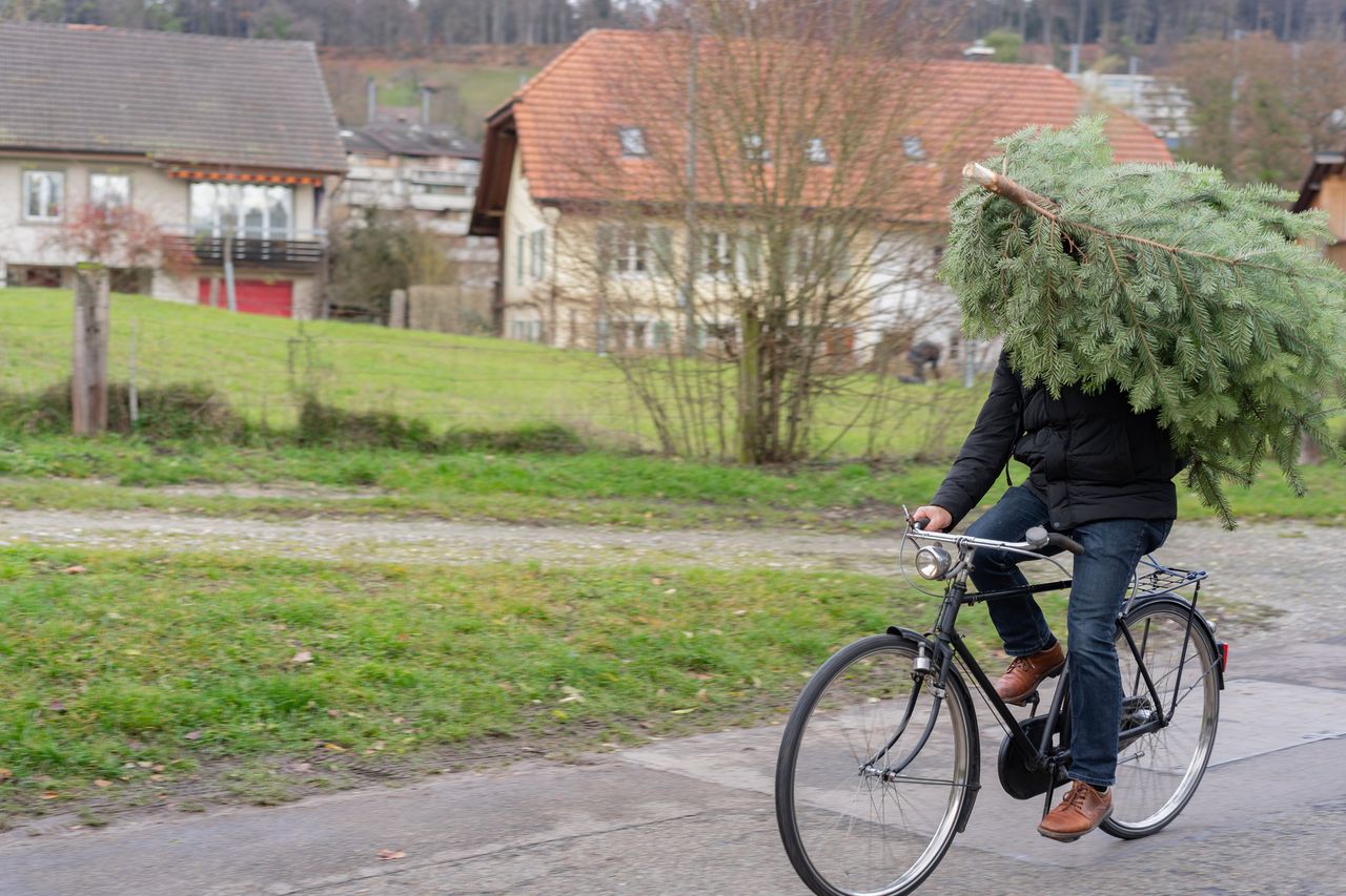 Eight Christmas experiences all cyclists will recognise | Cycling Weekly