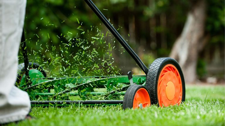 What to do with grass clippings after mowing: an expert guide | Homes ...