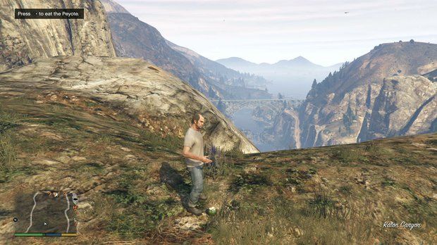 GTA 5 Peyote Plant locations to find every cactus | GamesRadar+