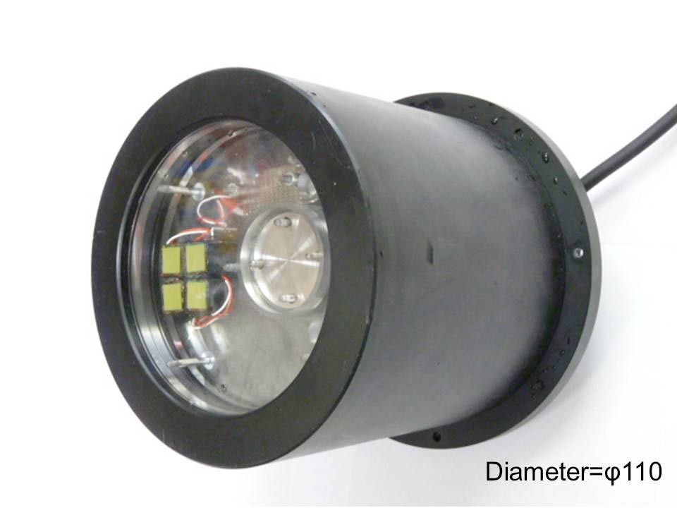 Device May Let Humans Communicate With Dolphins | Live Science