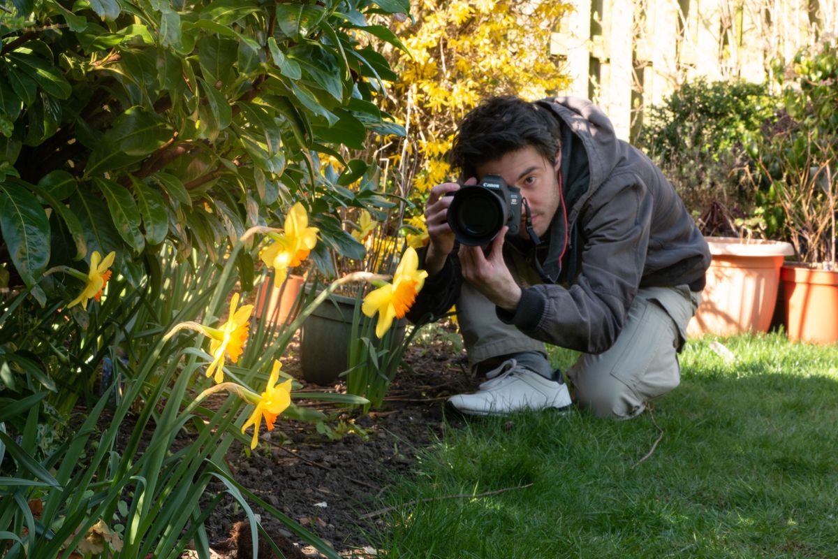 Shoot amazing flower portraits in your garden | Digital Camera World