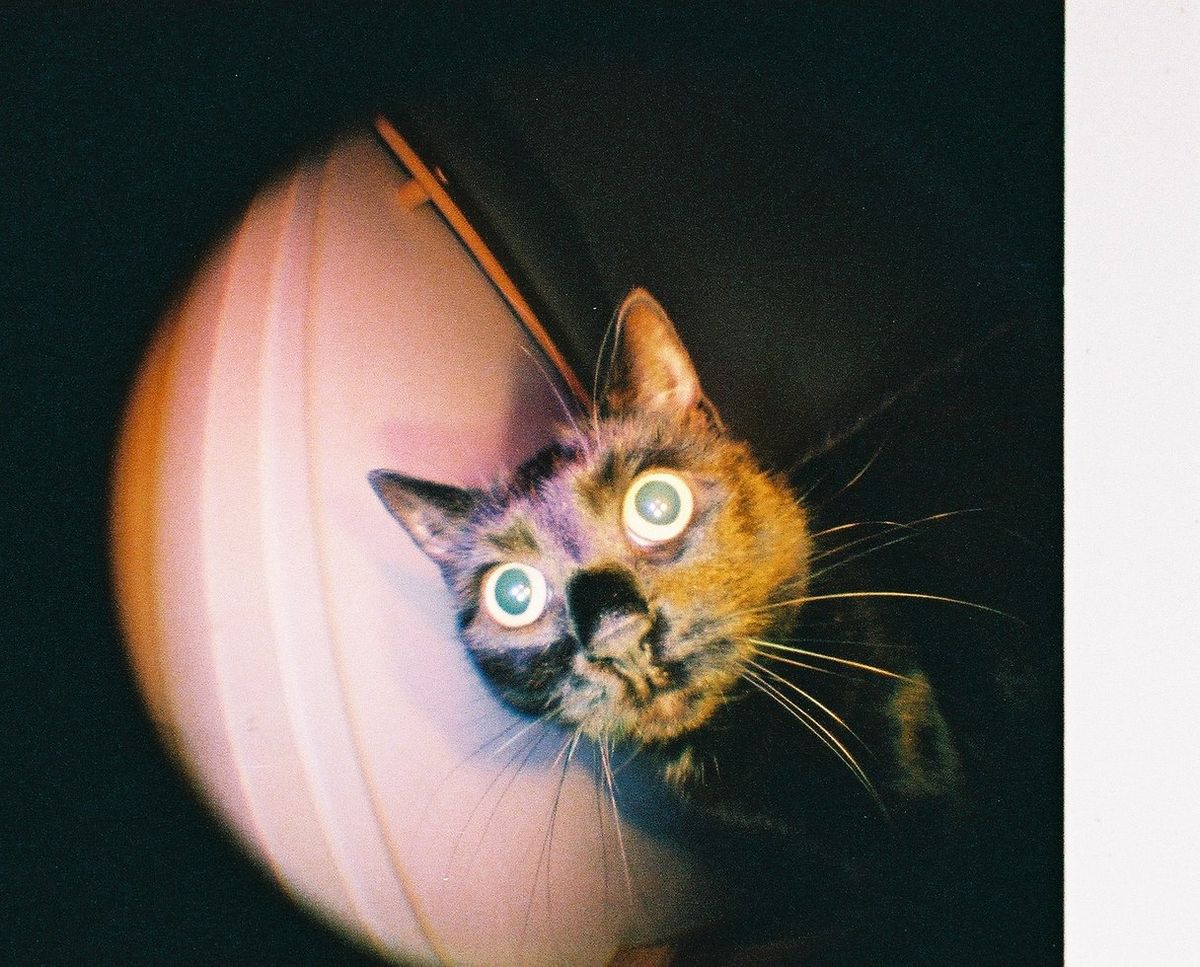 Lomography's tiny fisheye film camera gets colorful comeback! | Digital ...